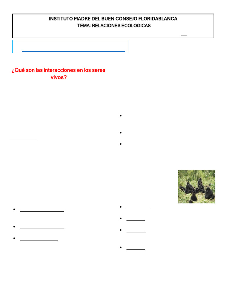 Interacciones Ecológicas en 7° Grado | PDF | Abejas | Simbiosis