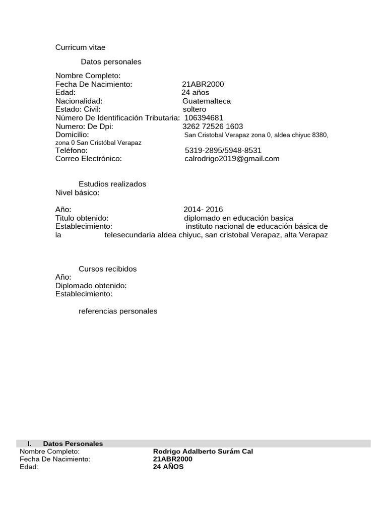 Curricum vitae 2025 fff | PDF