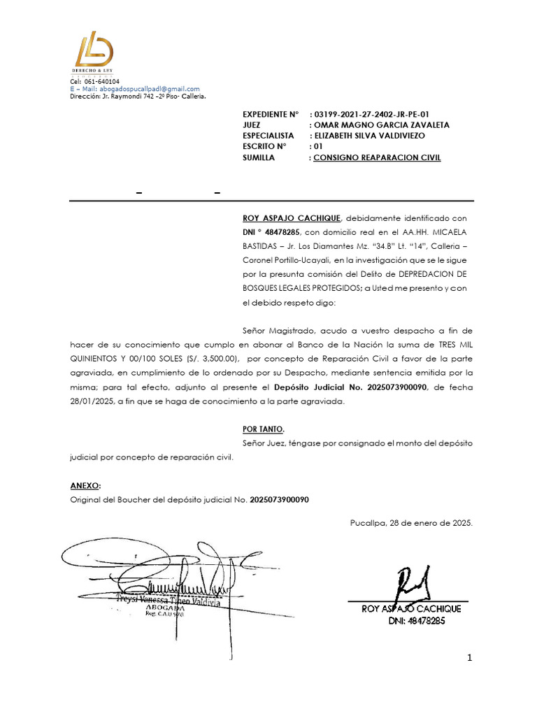 Pago de Reparacion Civil | PDF