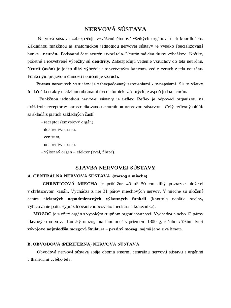 Nervová Sústava A Zmyslové Orgány Oa | PDF