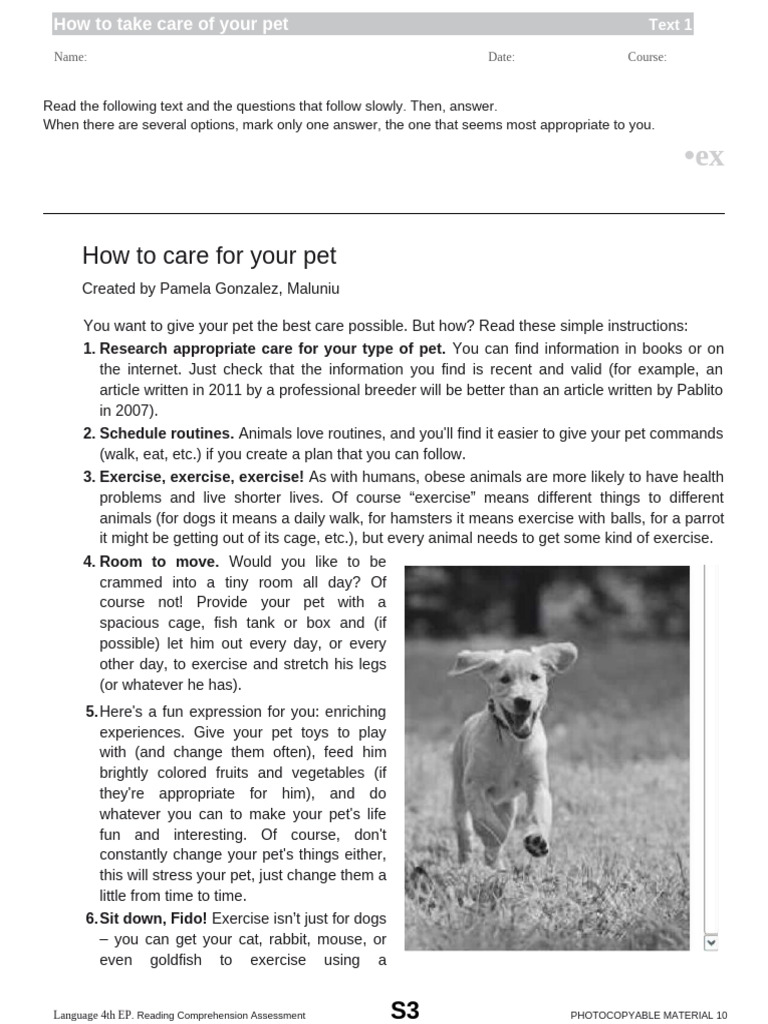 READING COMPREHENSION | PDF | Pet | Reading Comprehension