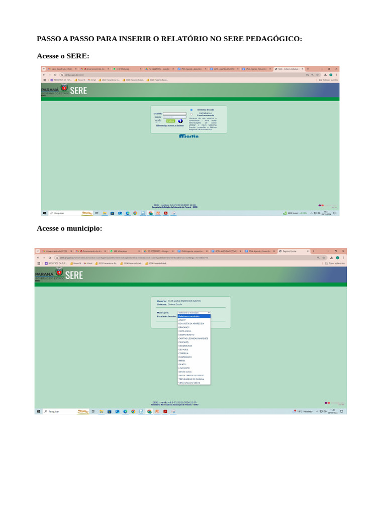 Passo A Passo SERE Pedagógico | PDF