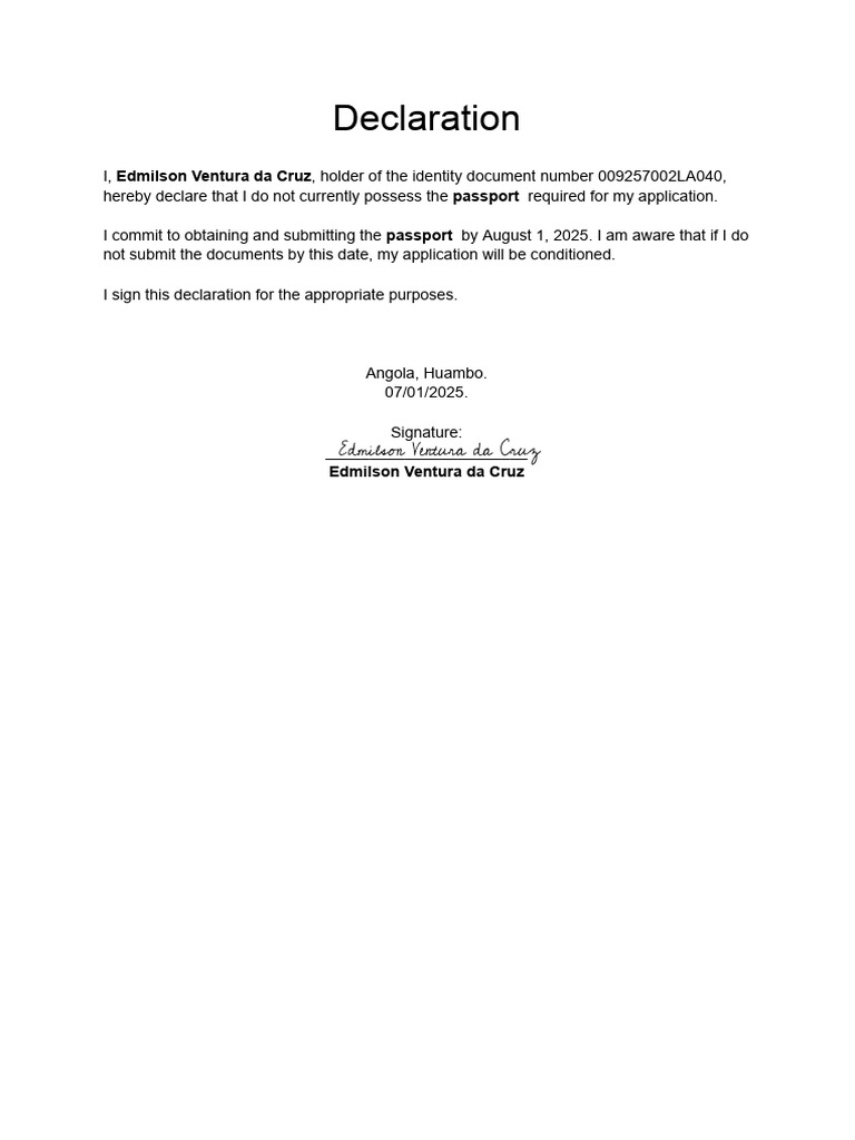 Passport Declaration of Missing Documents | PDF