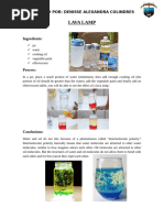 Lava Lamp Experiment | PDF