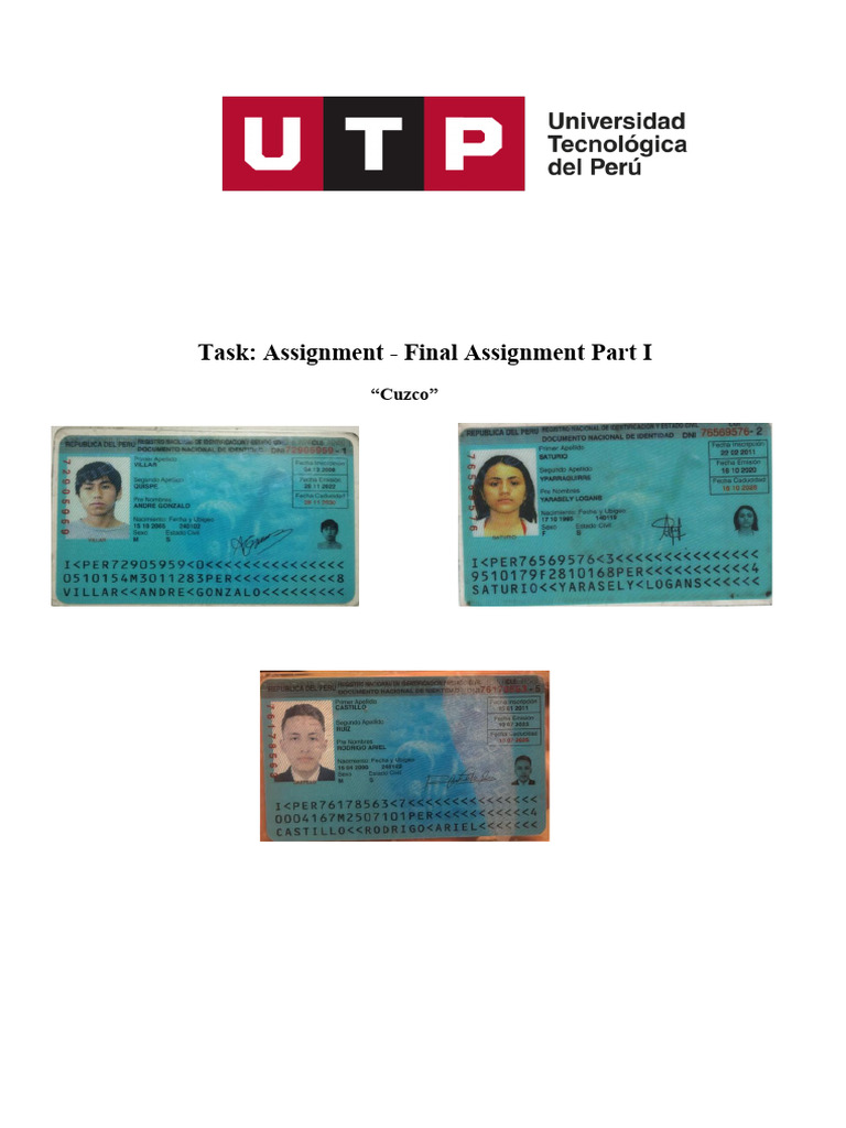 ? (AC-S17) Week 17 - Task Assignment - Final Assignment Part I | PDF