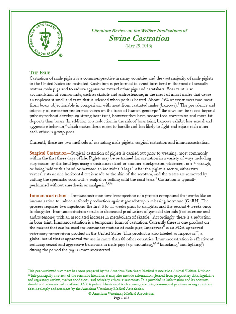 swine_castration_bgnd | PDF | Anesthesia | Pig