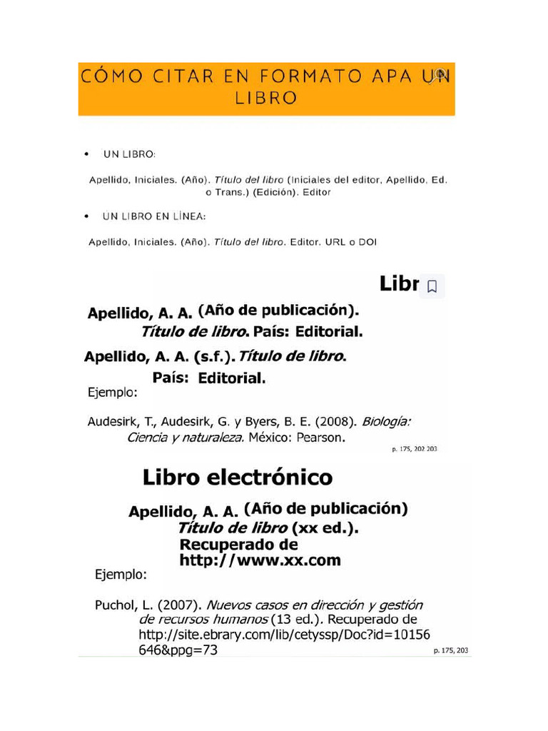 Formato Apa | PDF
