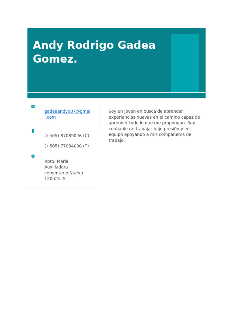 Perfil de Andy Gadea: Joven Proactivo y Sociable | PDF