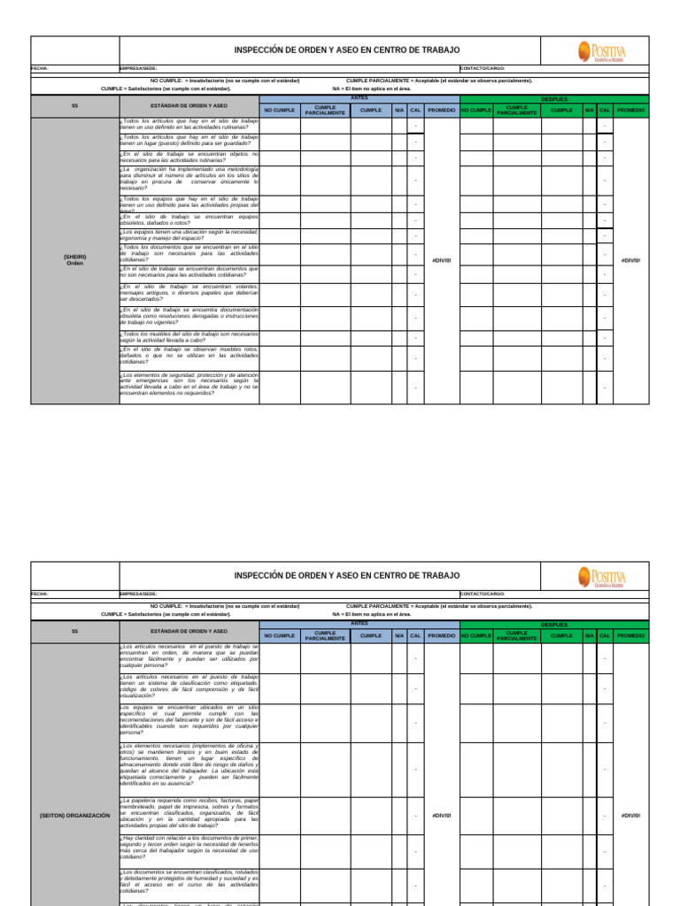 Formato Inspeccion Orden y Aseo | PDF