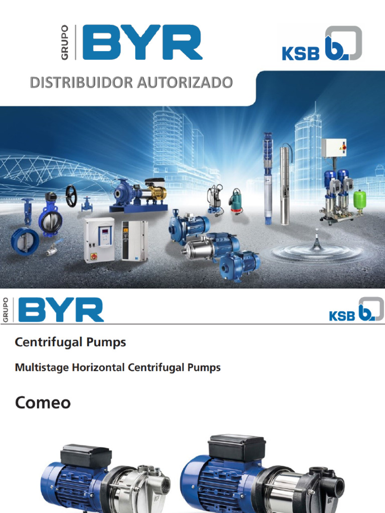 Byr - KSB - Comeo | PDF