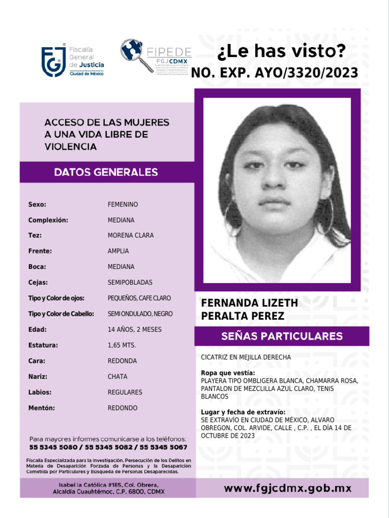 Desaparecida en CDMX: Fernanda Peralta | PDF