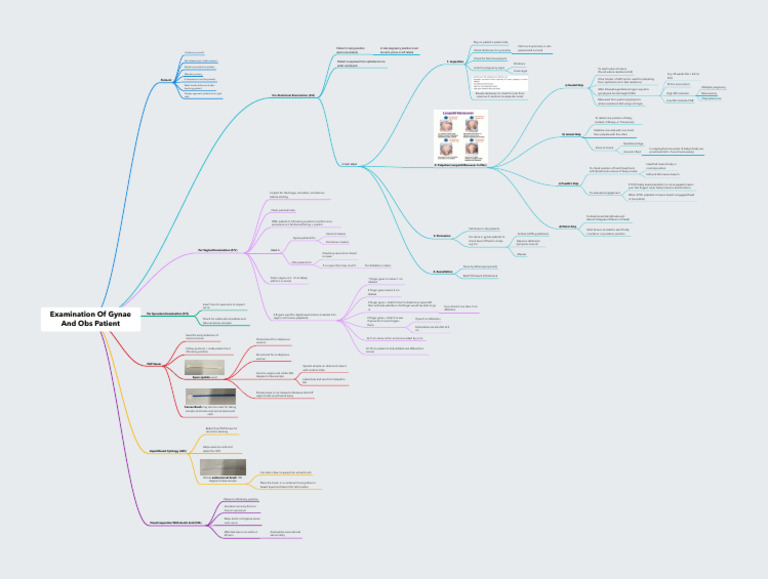 Examination of Gynae and Obs Patient | PDF | Medical Specialties ...