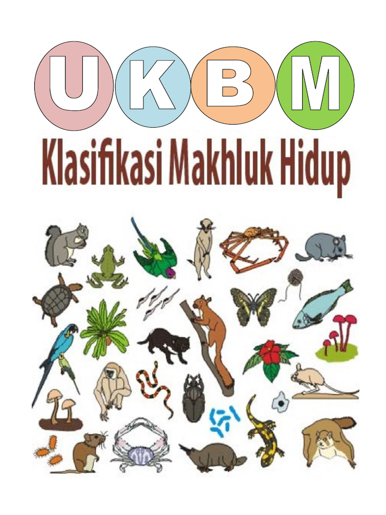 3 3 Ukbm Klasifikasi | PDF