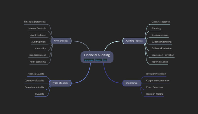 Financial Auditing | PDF