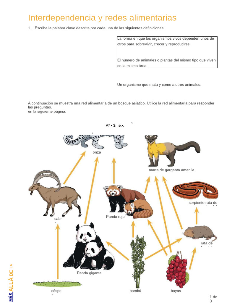 Interdependencia y Redes Alimentarias | PDF | Red alimentaria | Ecología