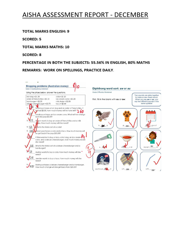AISHA ASSESSMENT REPORT | PDF