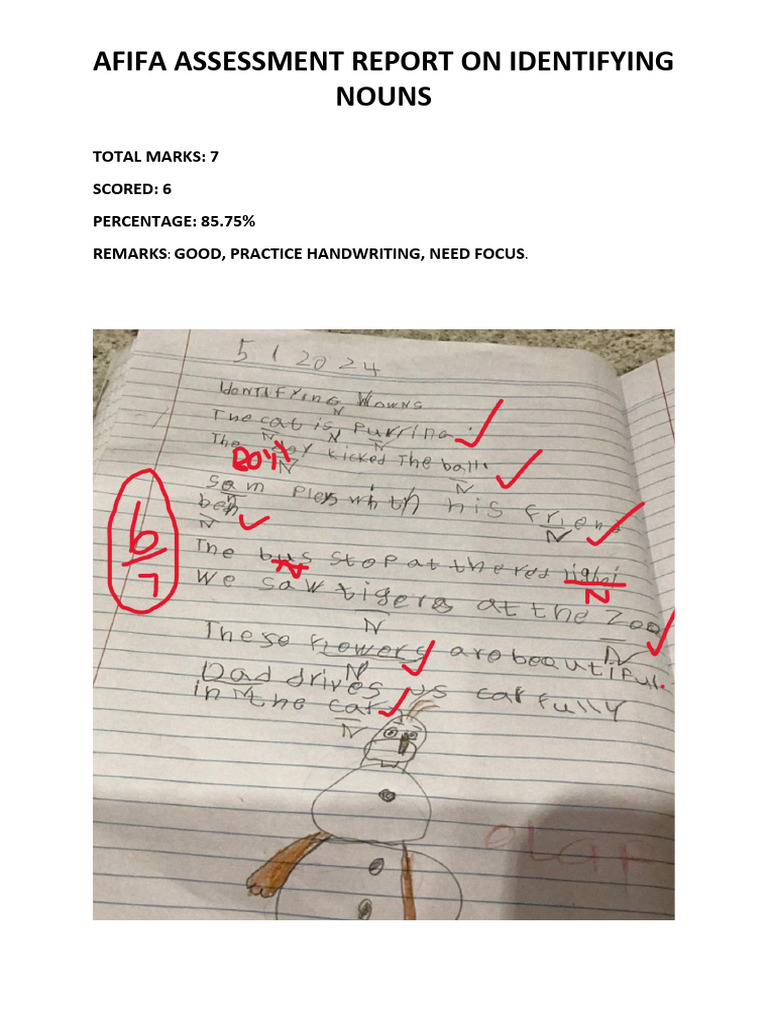 Afifa Assessment Report | PDF