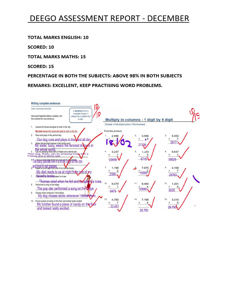 Deego Assessment Report December | PDF