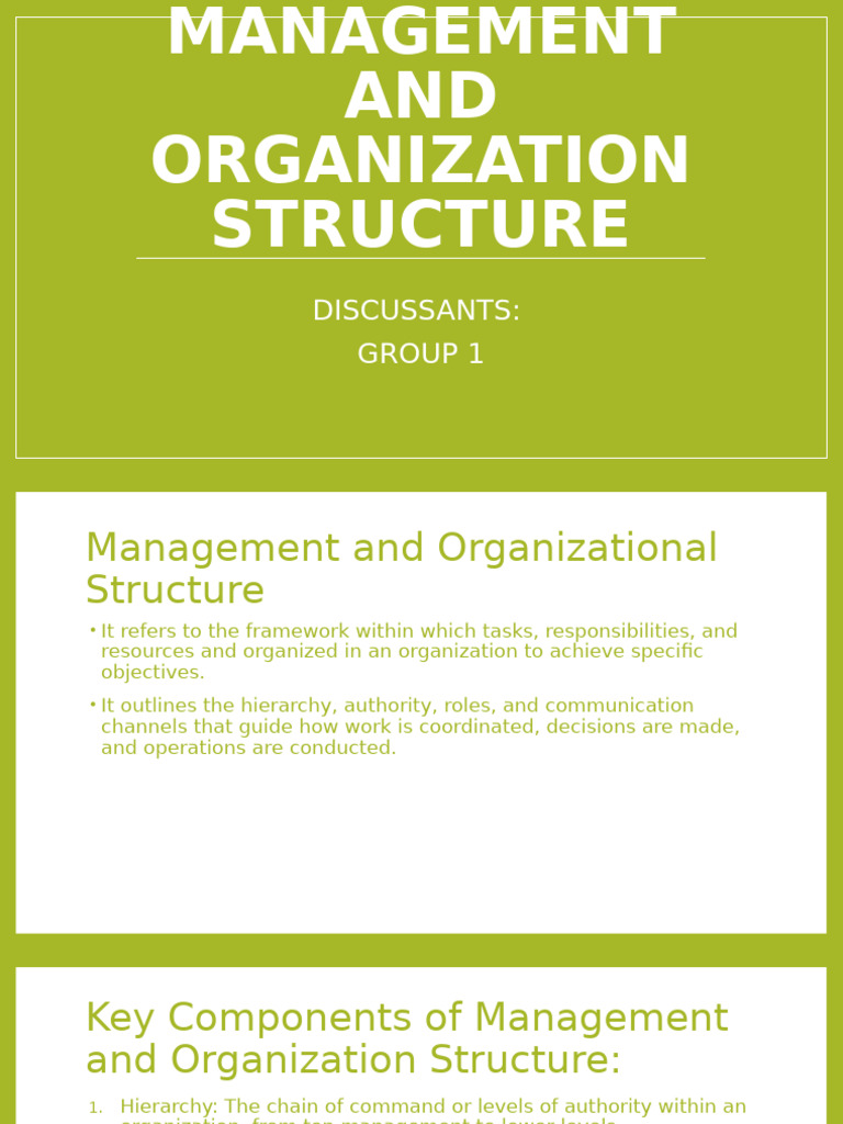 Management and Organization Structure Guide | PDF | Employment ...