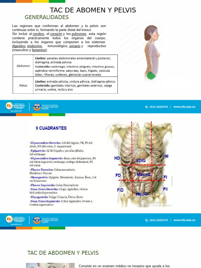 Pablo Tapia. Introduccion | PDF | Ct Scan | Medicina