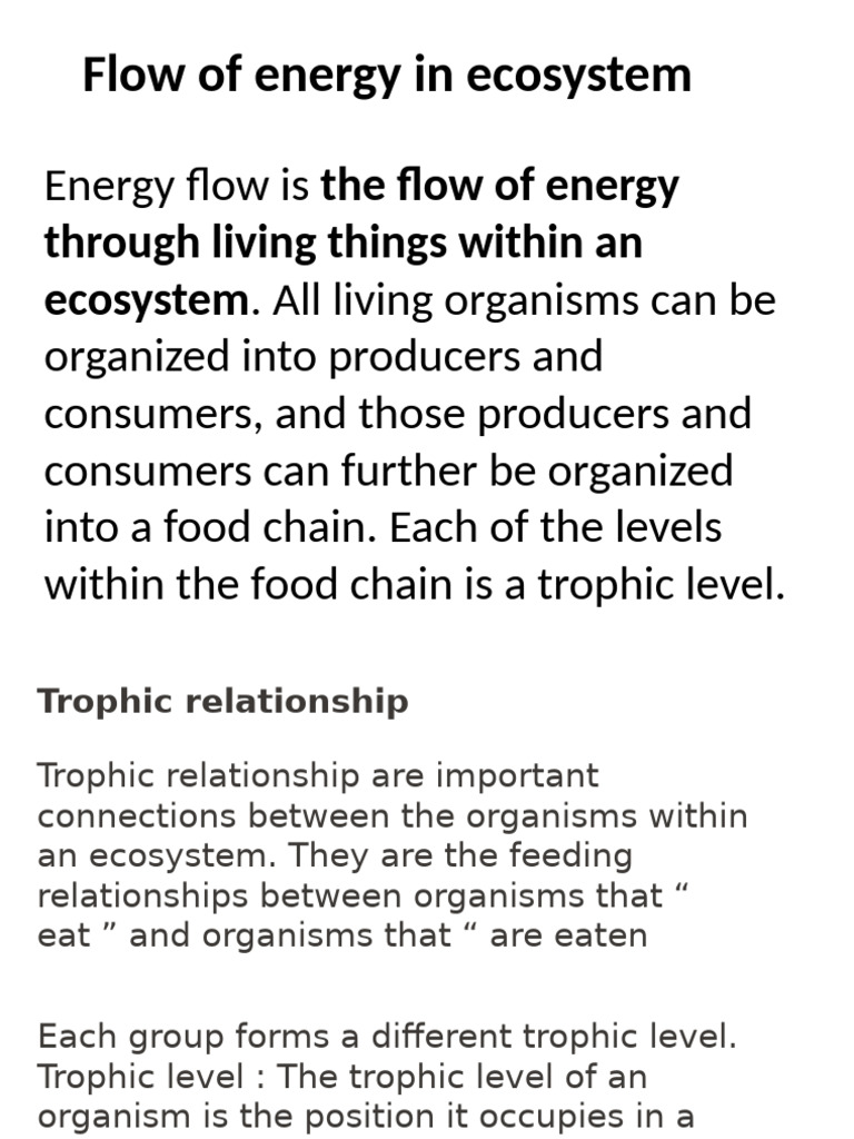 Food Web, Food Chain, Ecological Succession | PDF | Food Web | Foods