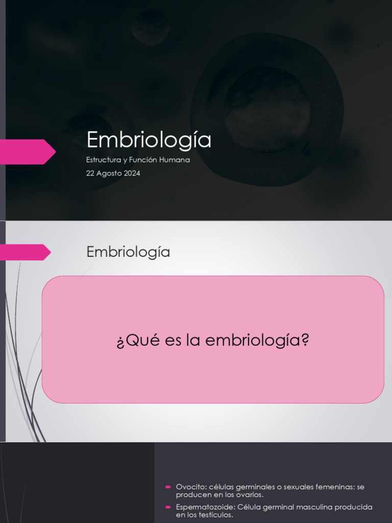 Embriología | PDF | Embrión | Anatomía