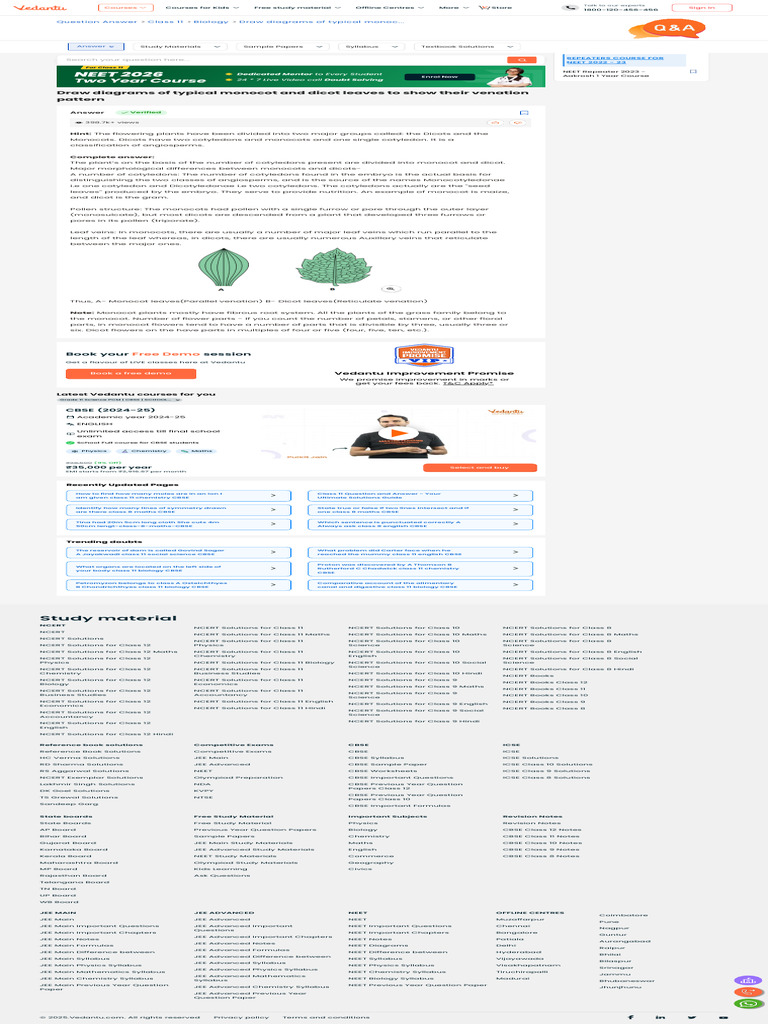 Draw Diagrams of Typical Monocot and Dicot Leaves To Show Their ...