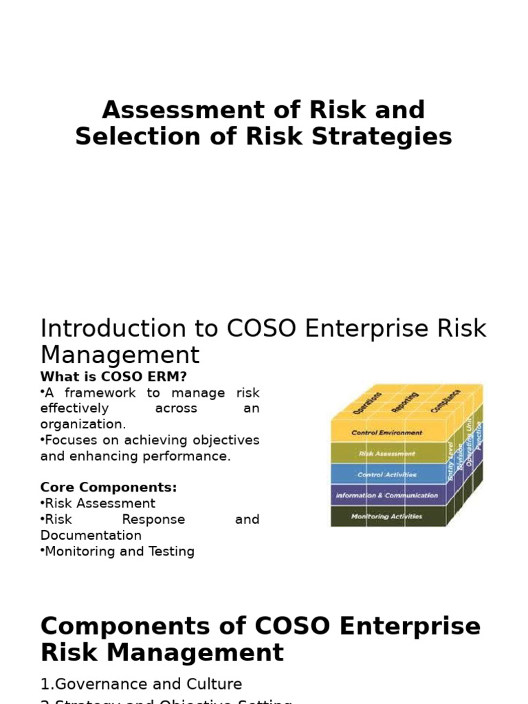 Assessment of Risk and Selection of Risk Strategies | PDF