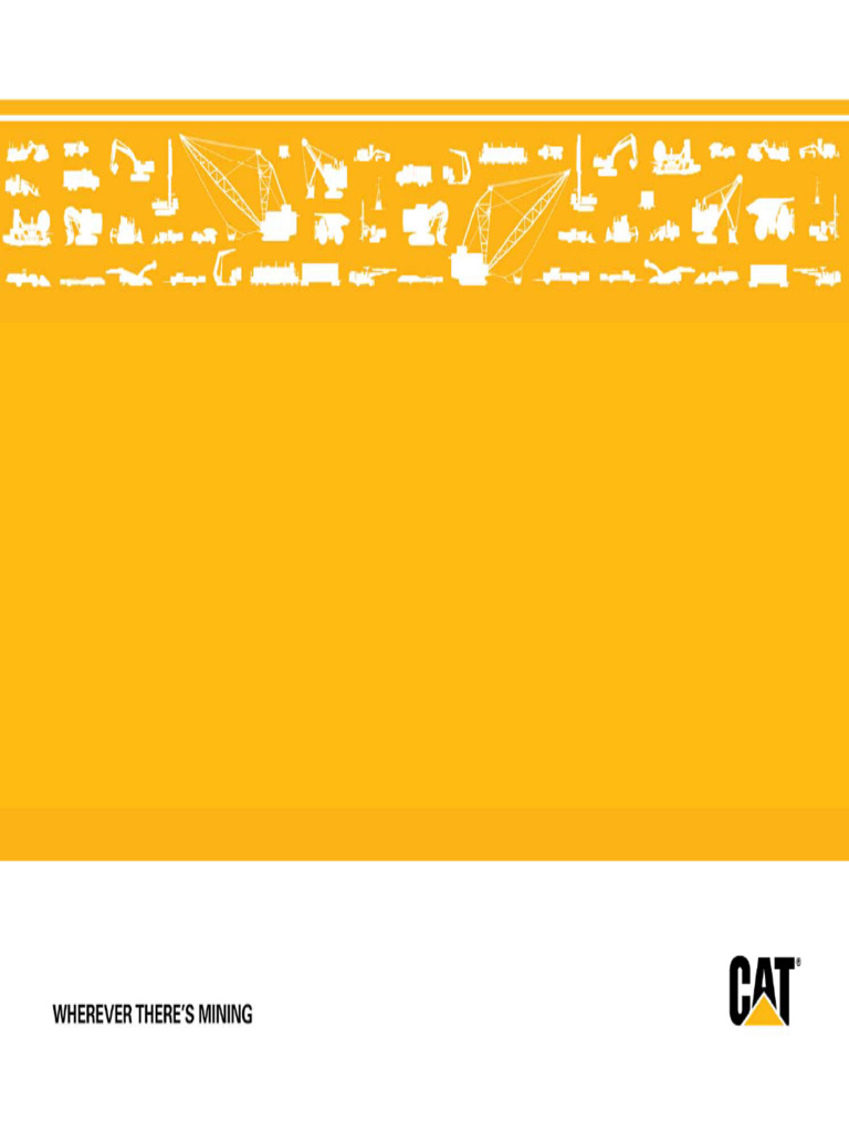 CAT Start y Stop Cat | PDF