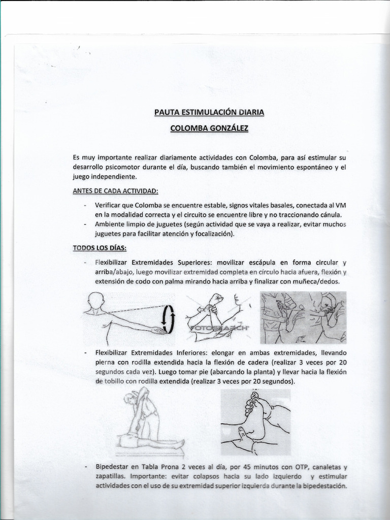 Plan Estimulacion KTM | PDF