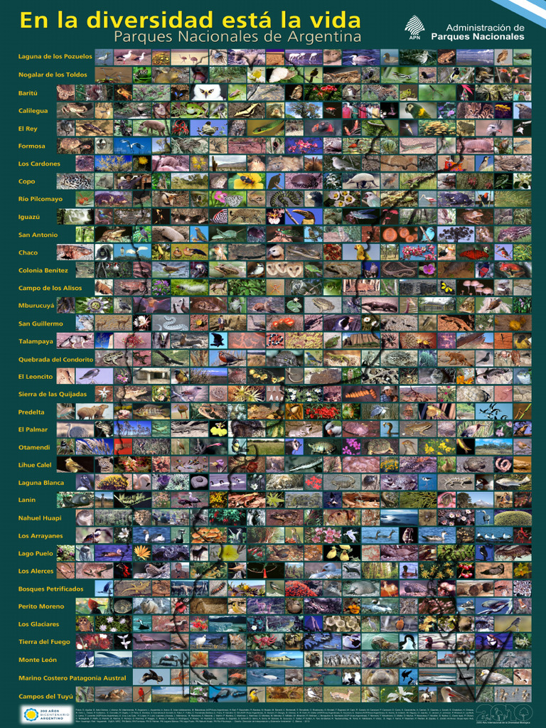 APN_2010_poster | PDF