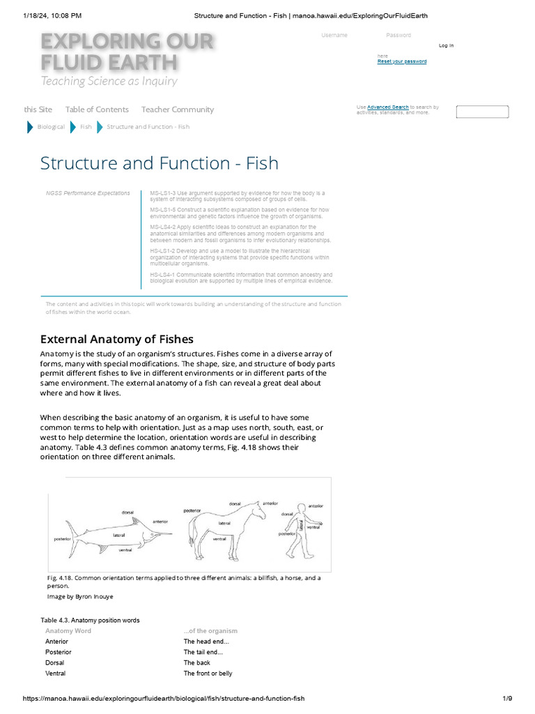 fisheries | PDF | Fin