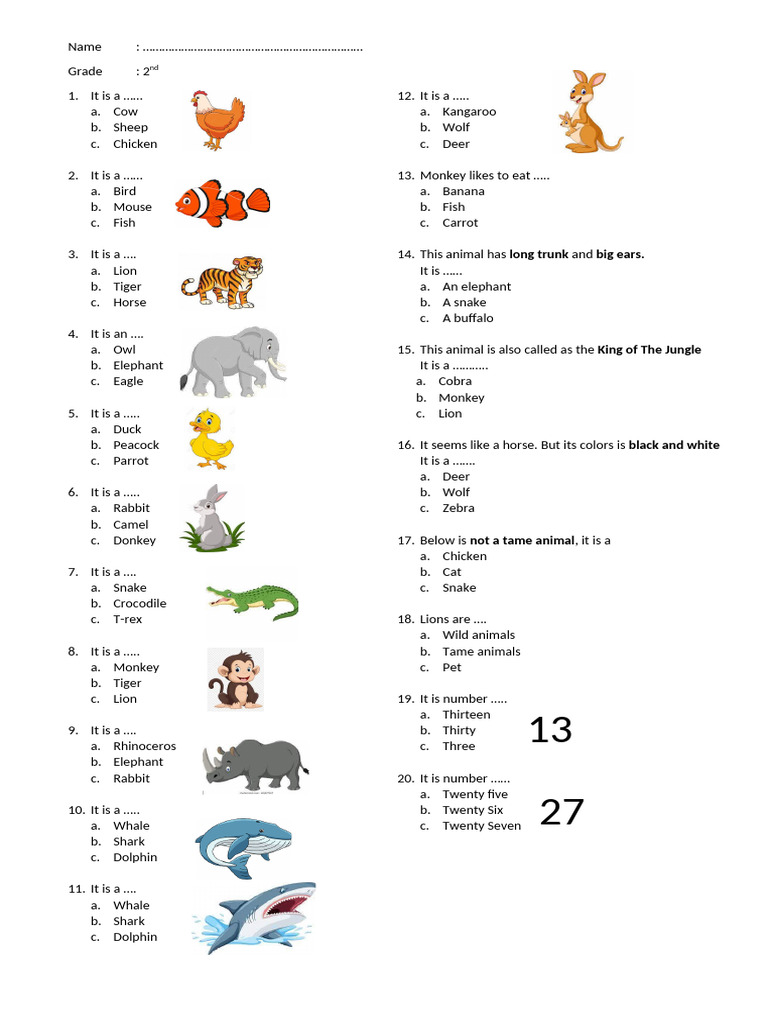 Daily Assessment Animals | PDF | Zoology