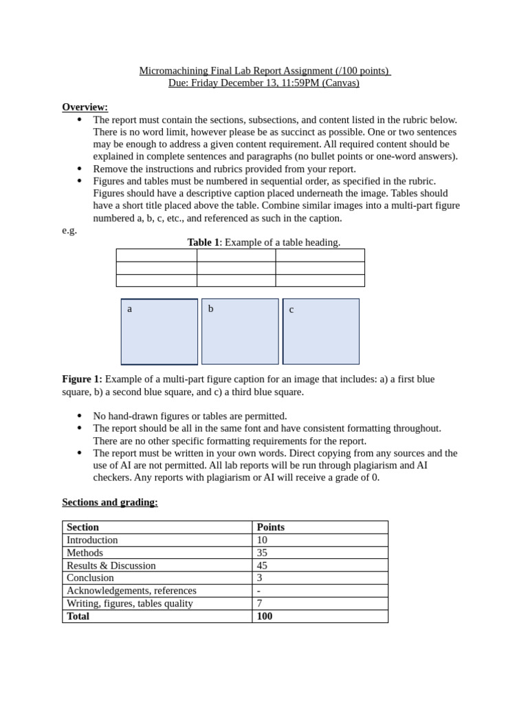 Lab Report Outline & Rubric | PDF | Photolithography | Materials