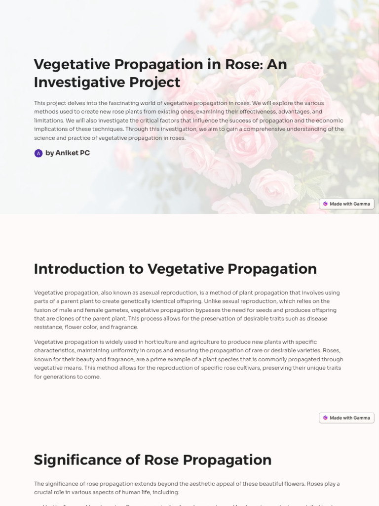 Vegetative Propagation in Rose An Investigative Project | PDF ...