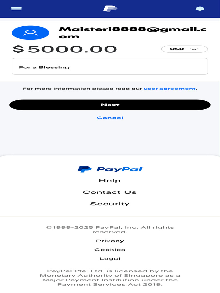PayPal Make a Payment Preview | PDF