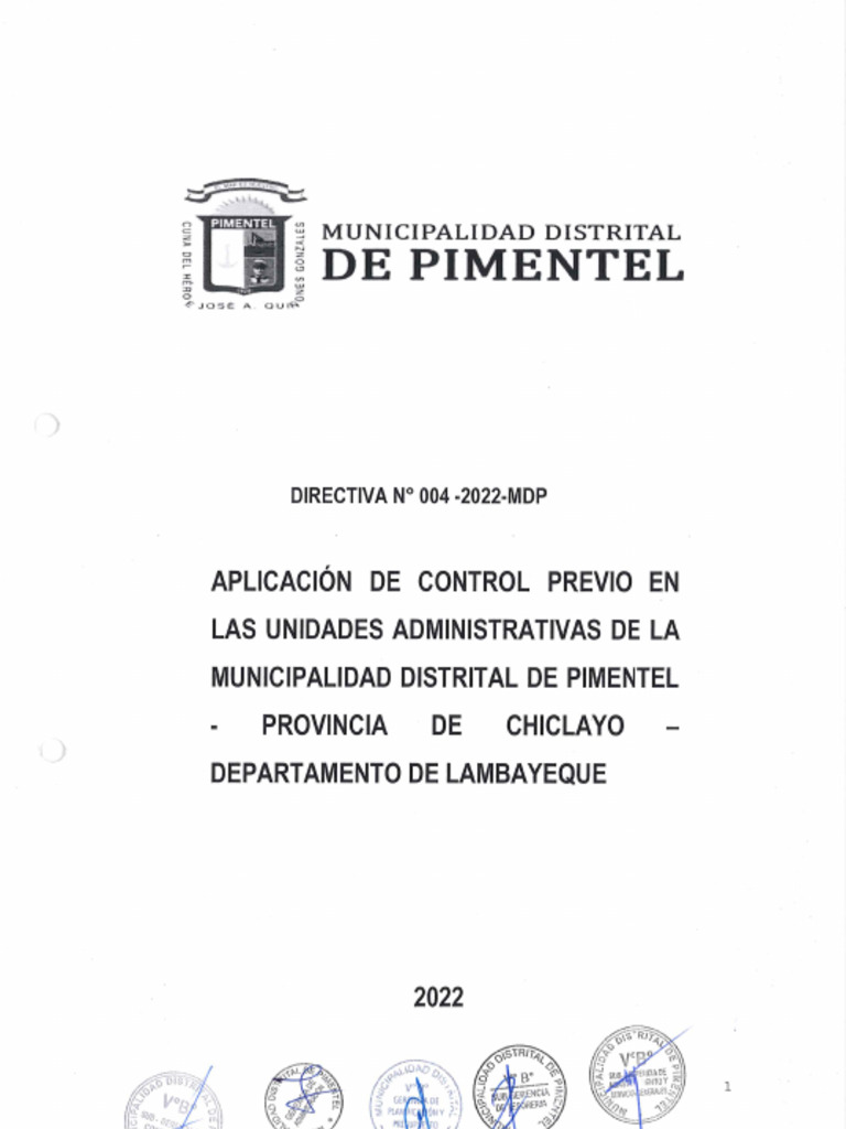 Directiva 04-2024 Control Previo | PDF