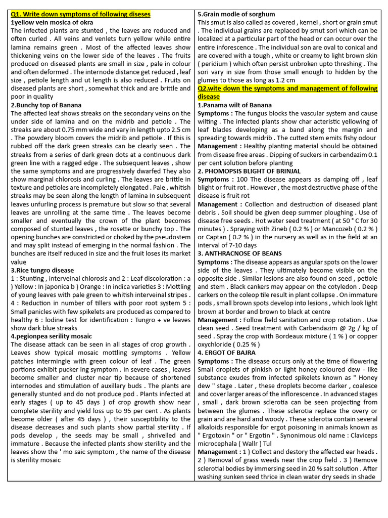 path 354 | PDF | Leaf | Botany