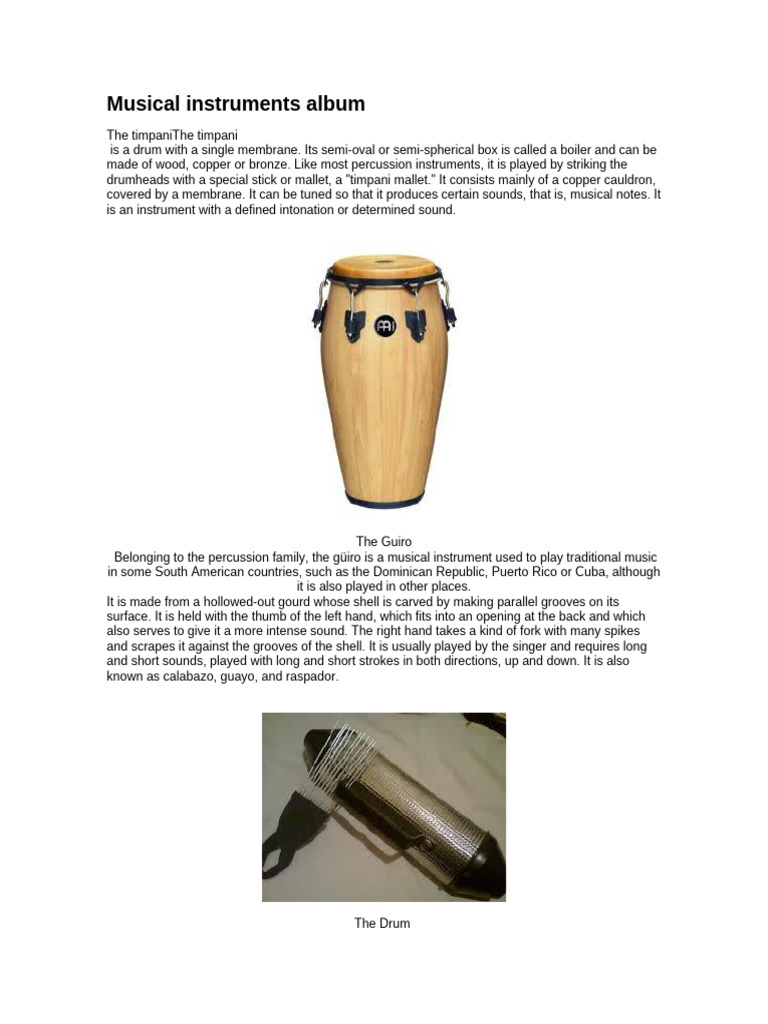 Overview of Musical Instruments Types | PDF | Guitars | String Instruments