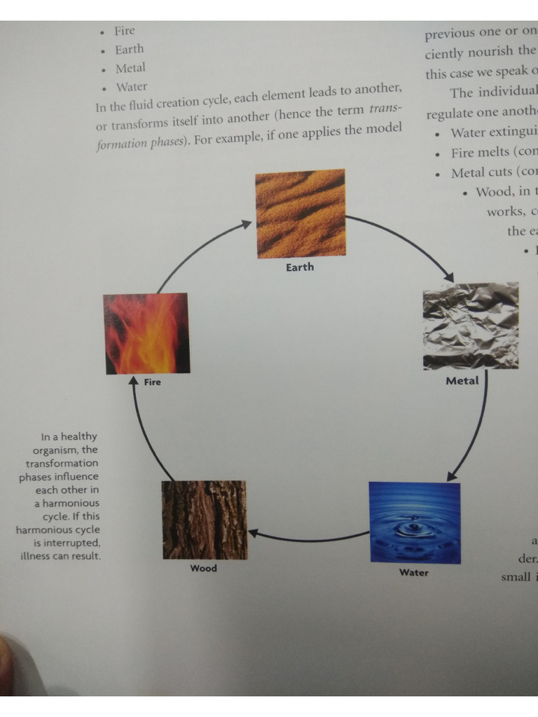 Robin Sir - 13 | PDF