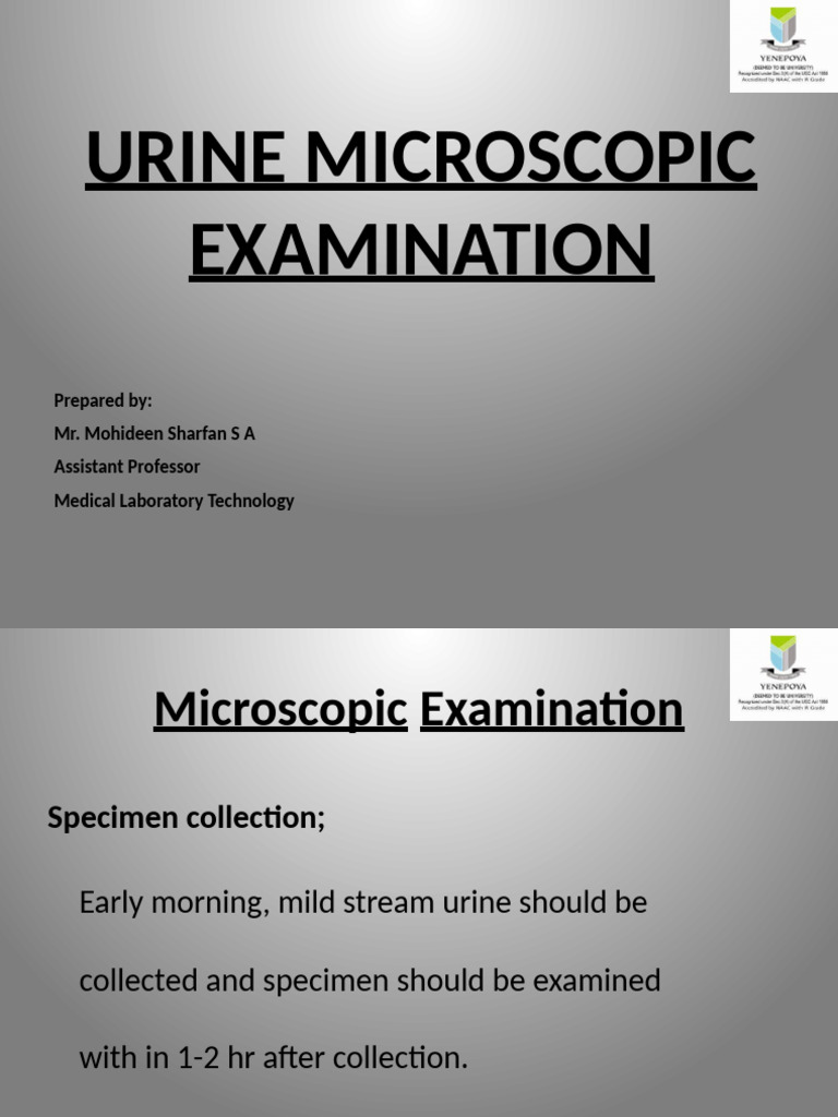 Urine Microscopic Examination | PDF