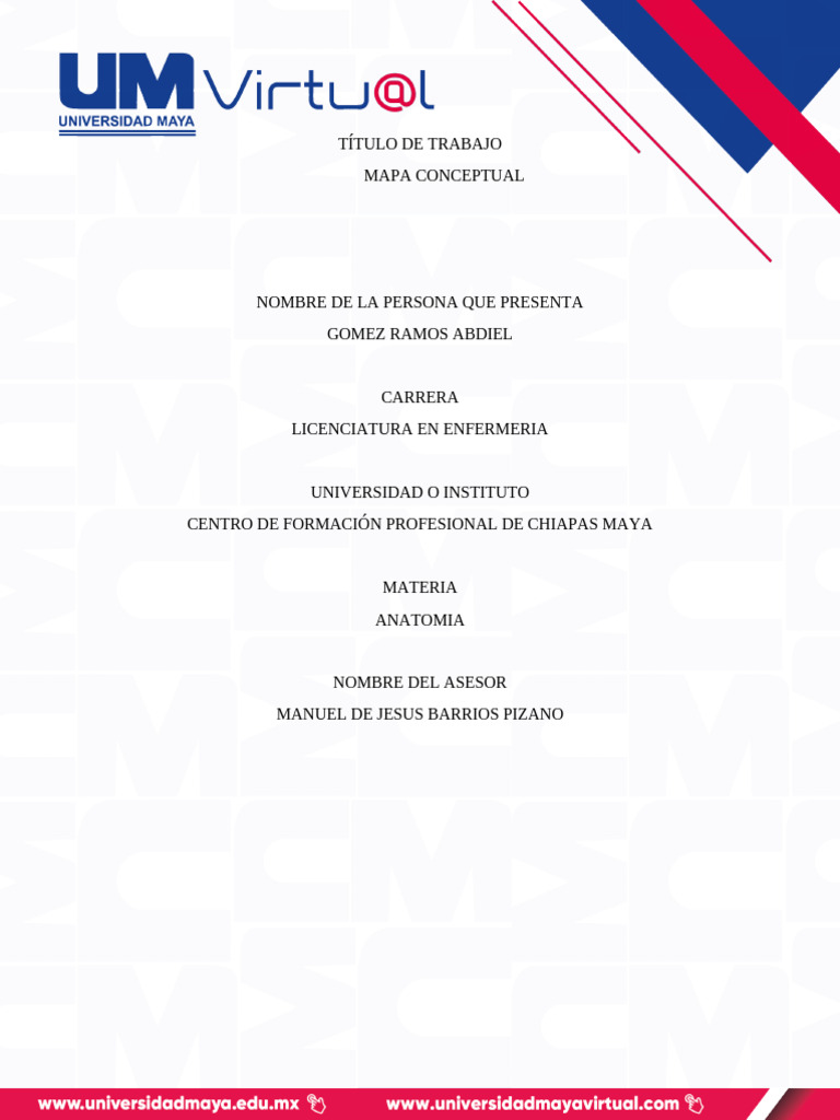 Mapa Conceptua Anatomia o | PDF | Articulación | Biología Celular