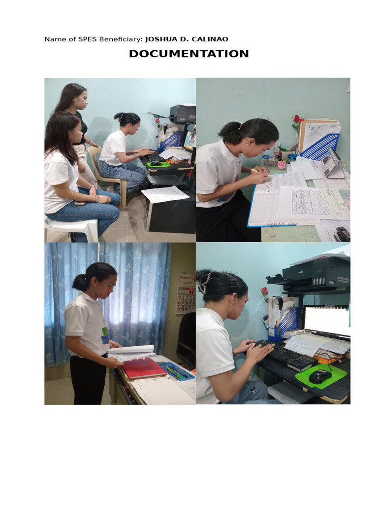 SPES Documentation | PDF