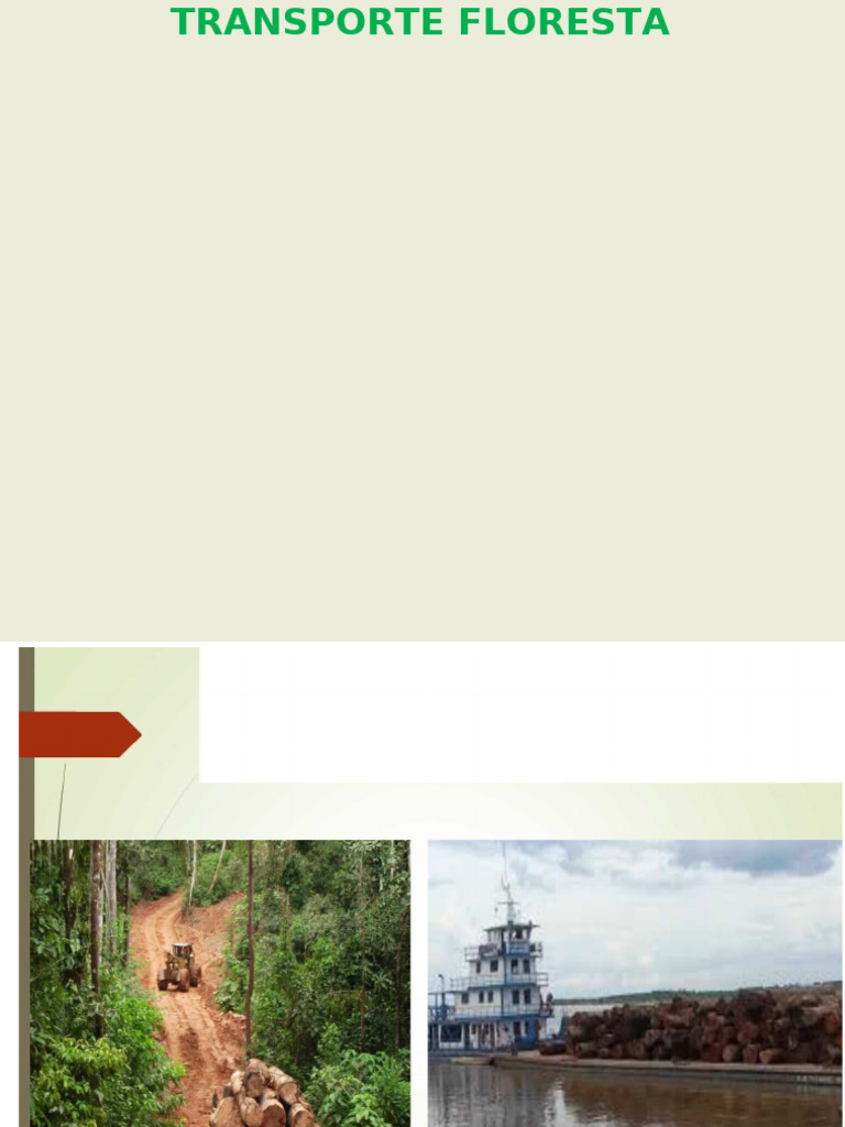 TRANSPORTE-FORESTAL.pdf | PDF | Transporte | Transporte terrestre