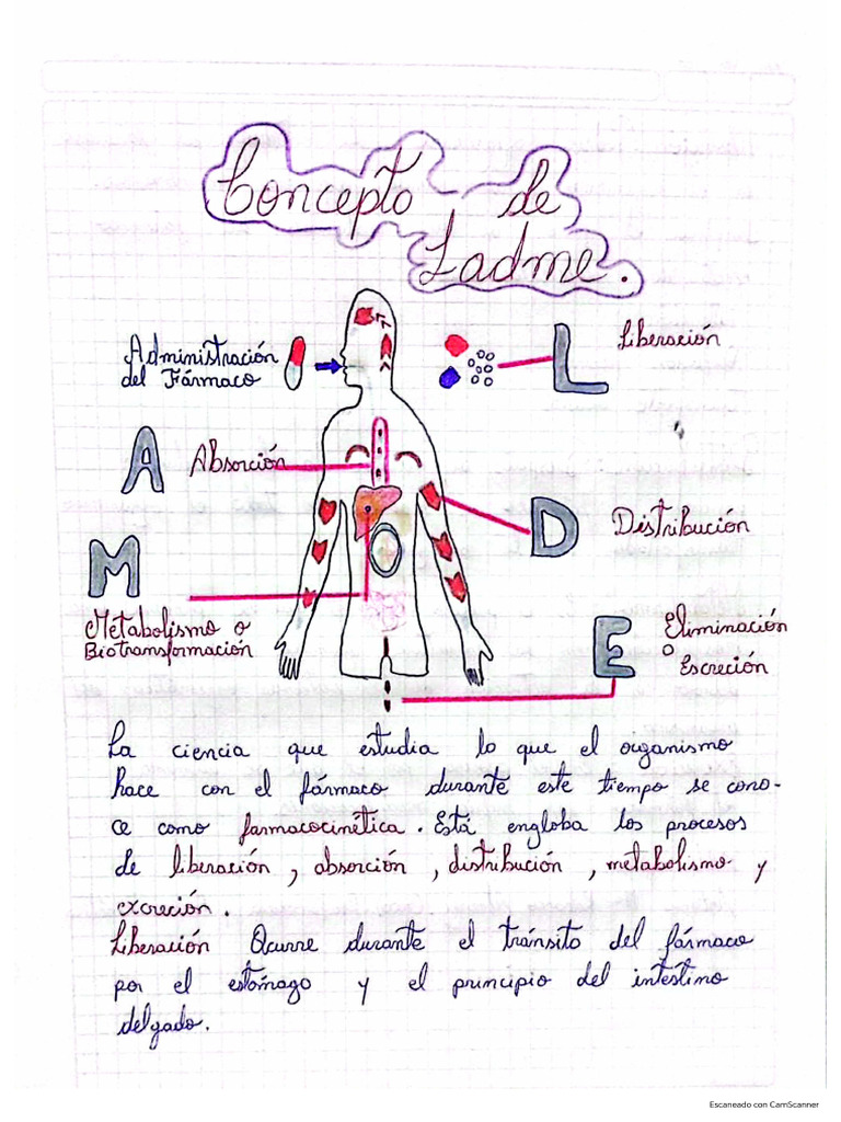 Concepto de LADME | PDF