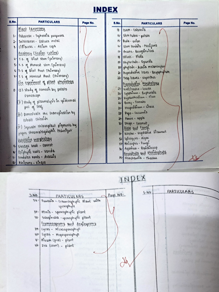 Botany Record | PDF
