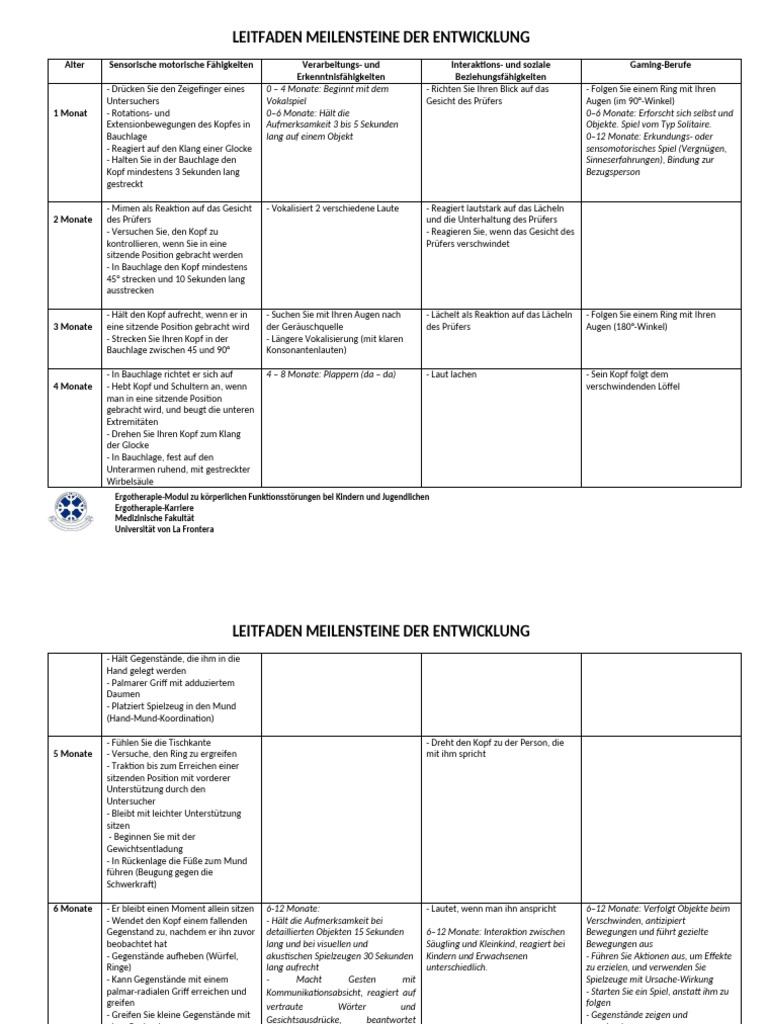 Leitfaden Meilensteine Der Entwicklung | PDF