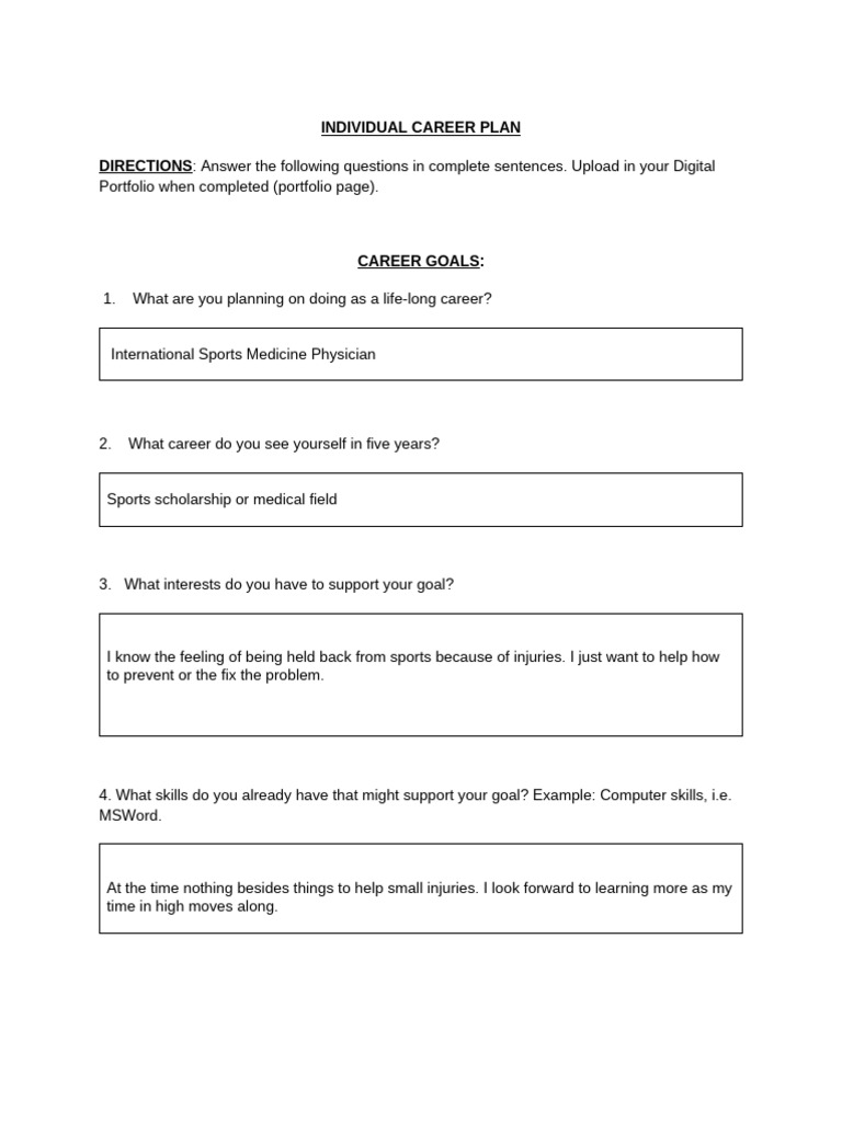 Individual Career Plan | PDF