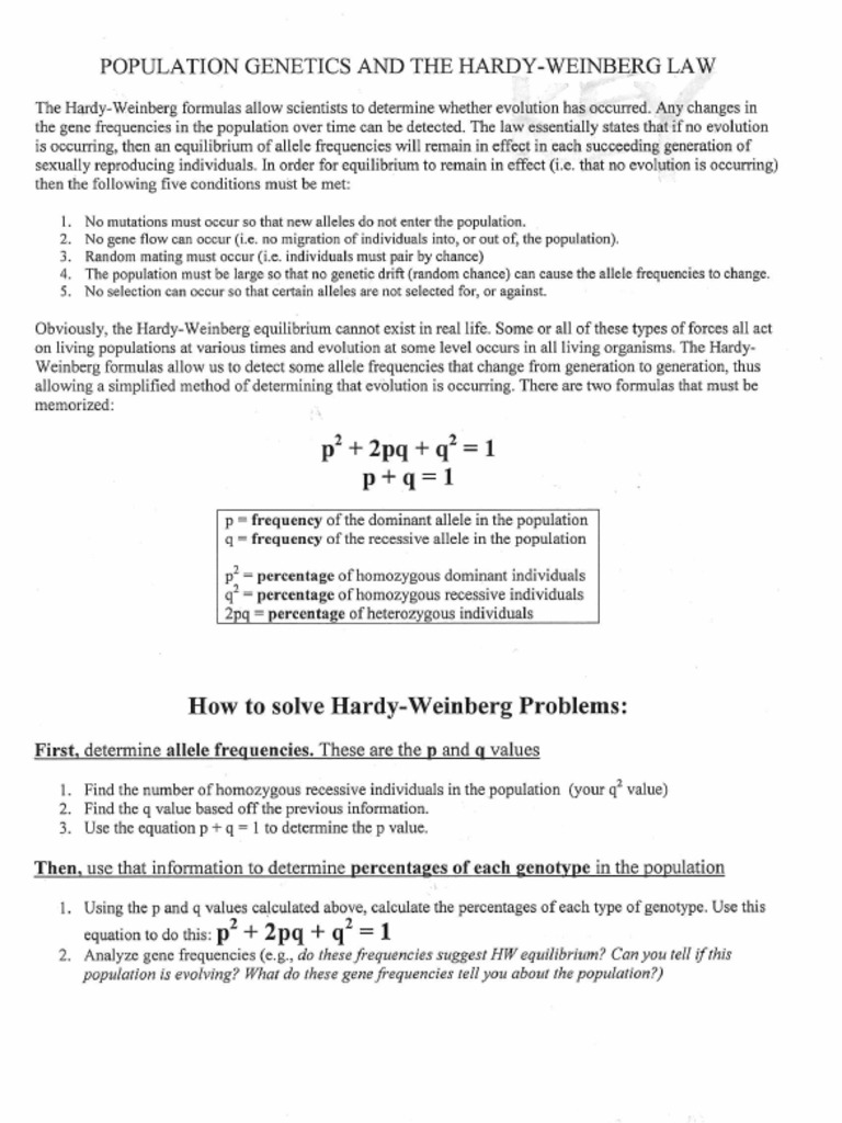 Hardy Weinberg Intro and Problems 1415 - KEY | PDF