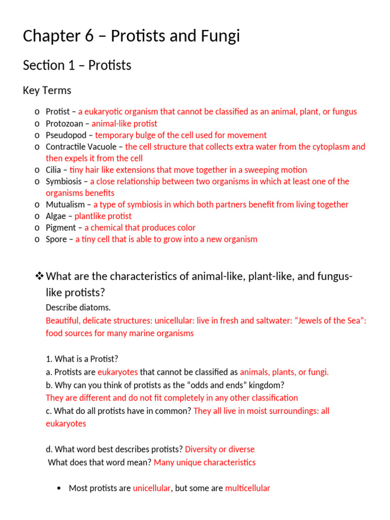 Chapter 6 - Protists and Fungi - Answers | PDF | Fungus | Protozoa